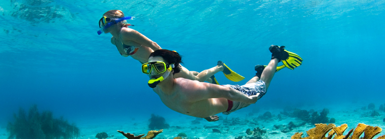 gutes essen in berlin – Whats'UP-Berlin-Magazin